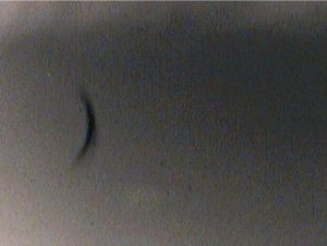 Radiography X ray film Artefacts false Indications